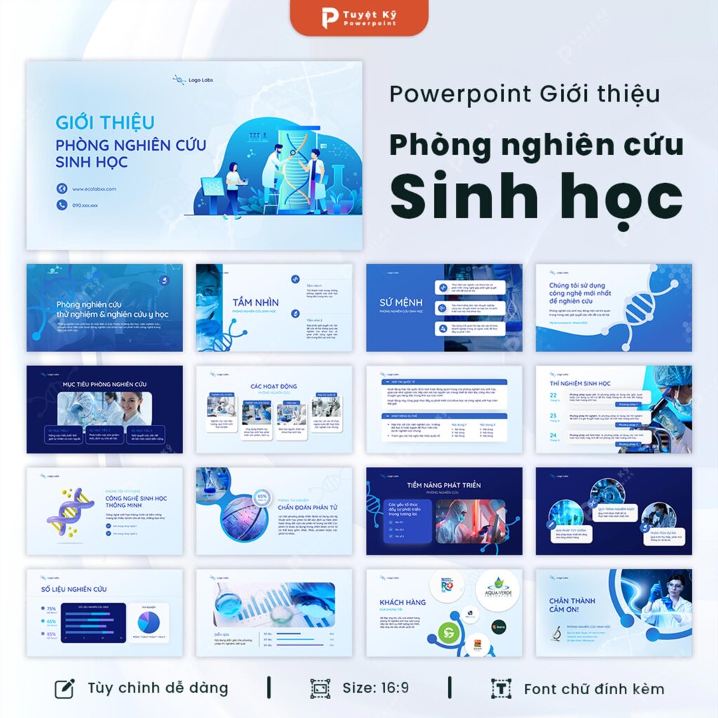 Mẫu Slide Ánh sáng và Sự Truyền của Ánh Sáng | Tuyệt kỹ Powerpoint