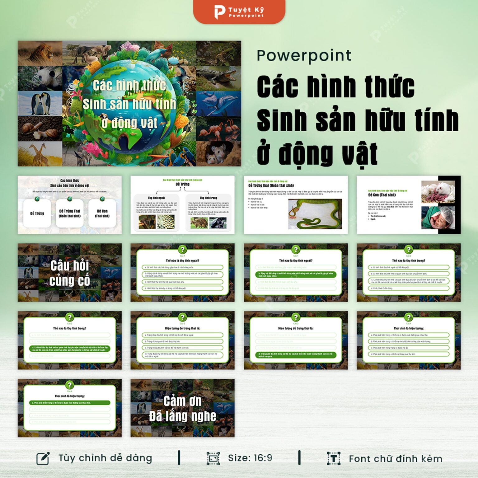 Mẫu Slide các hình thức sinh sản hữu tính ở động vật | Tuyệt kỹ Powerpoint