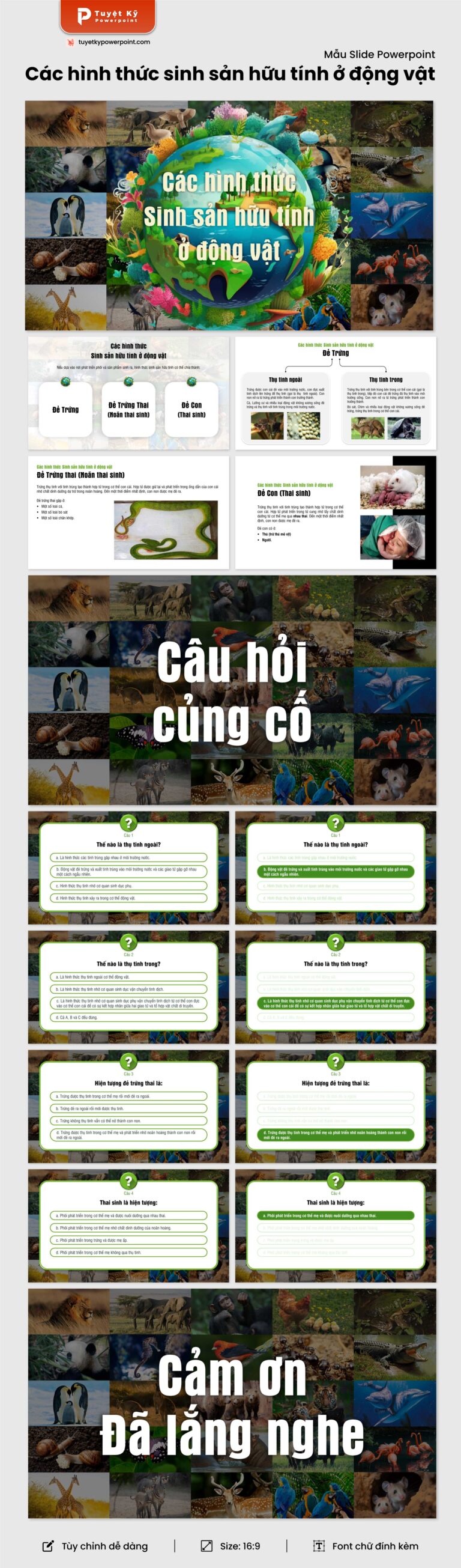 Mẫu Slide các hình thức sinh sản hữu tính ở động vật | Tuyệt kỹ Powerpoint