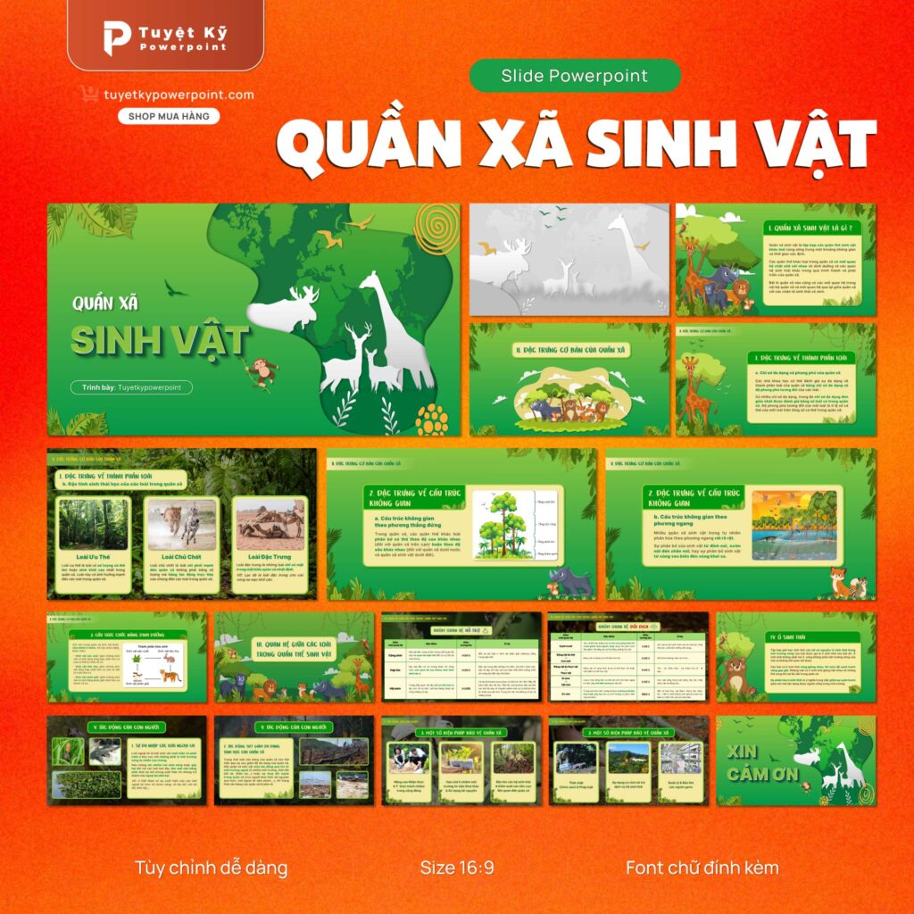 Mẫu Slide Quần xã Sinh Vật | Tuyệt kỹ Powerpoint