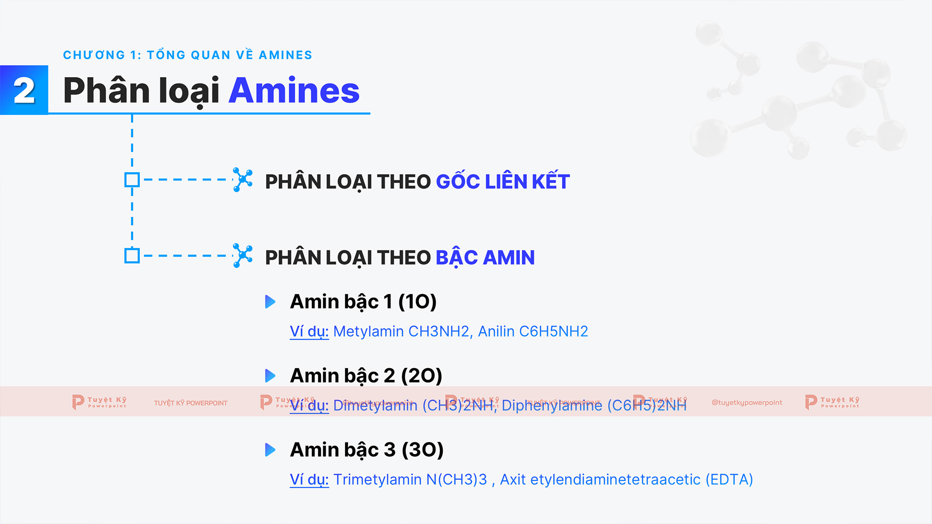 Mẫu Slide Tổng hợp Amines | Tuyệt kỹ Powerpoint