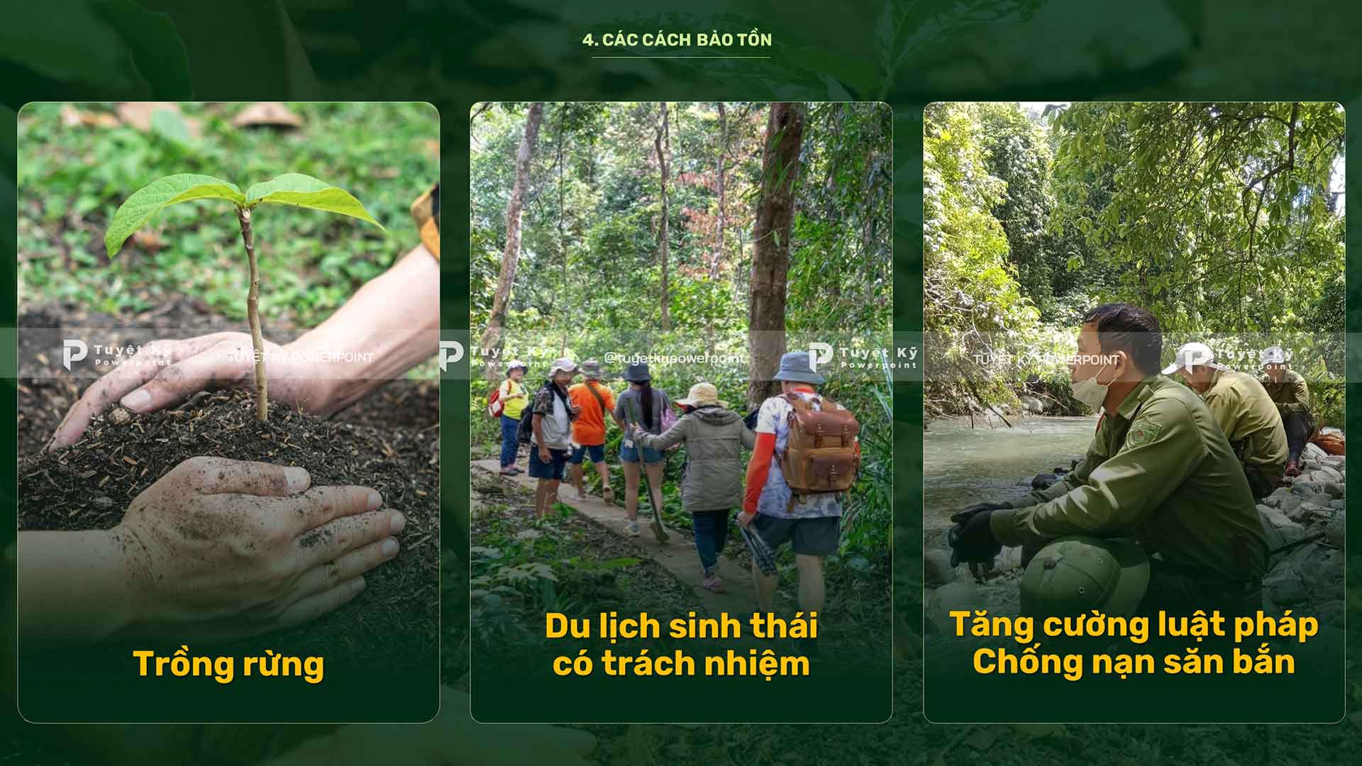 Mẫu Slide Đa dạng sinh học ở Khu Dự trữ sinh quyển LangBiang | Tuyệt kỹ ...